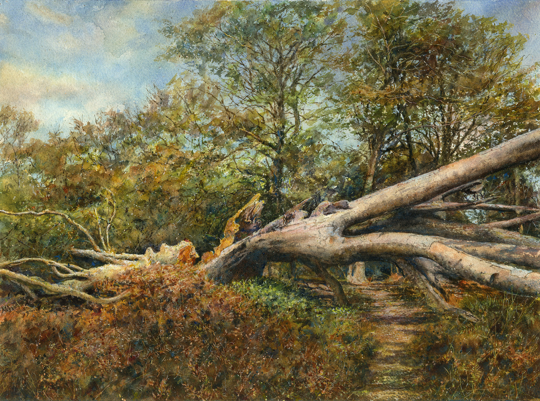 Architecture, art, illustration and more from the Peter Jarvis blog