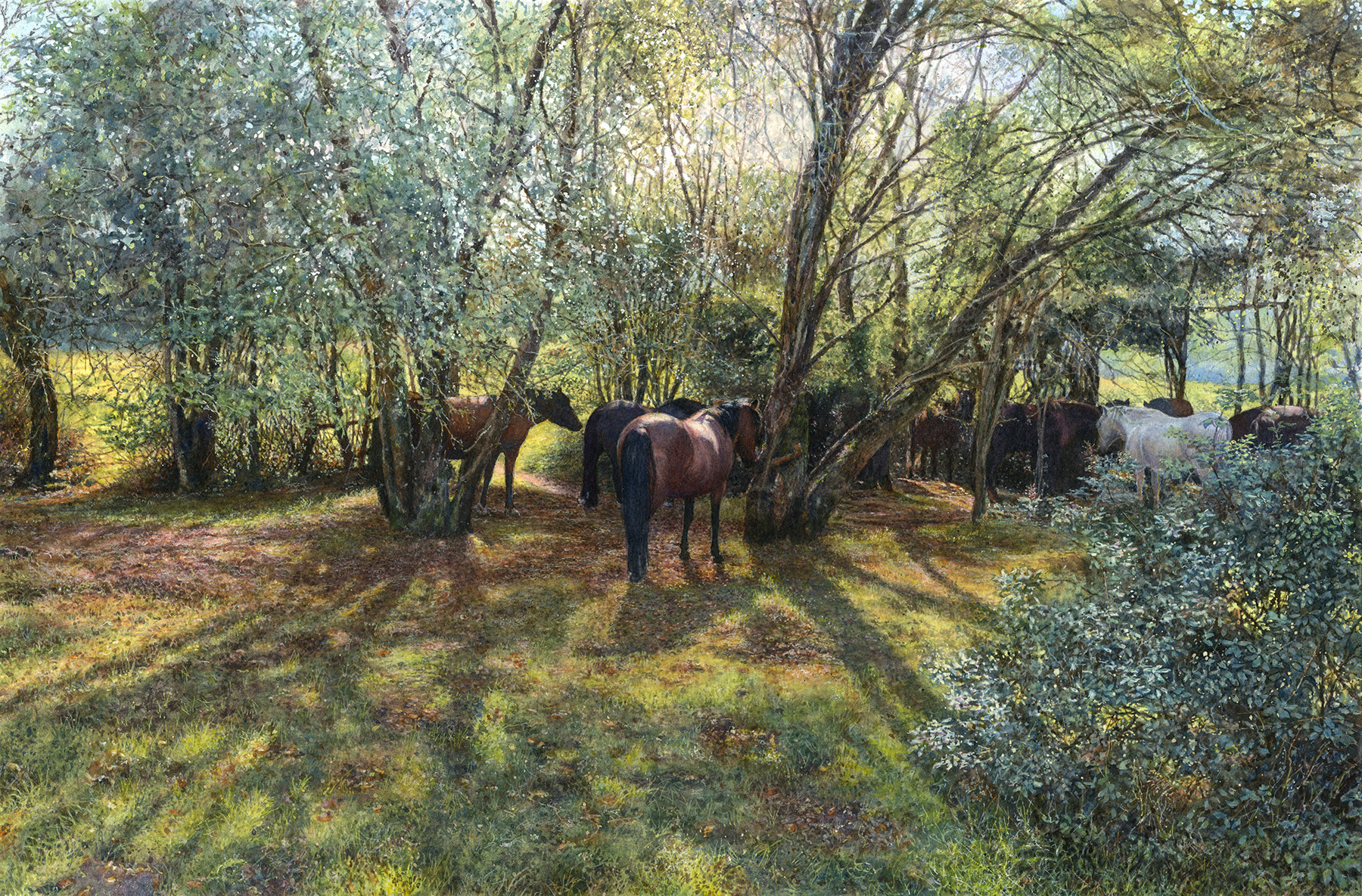 Architecture, art, illustration and more from the Peter Jarvis blog