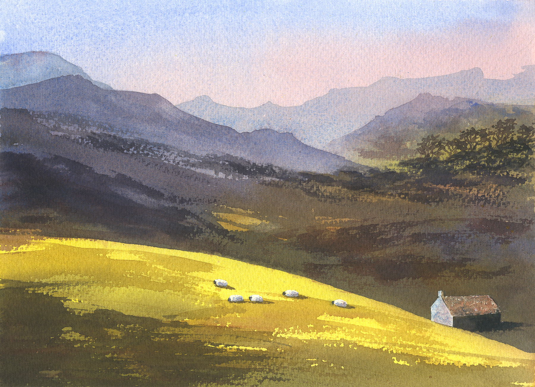 Landscape with sheep: by Peter Jarvis, architectural illustrator