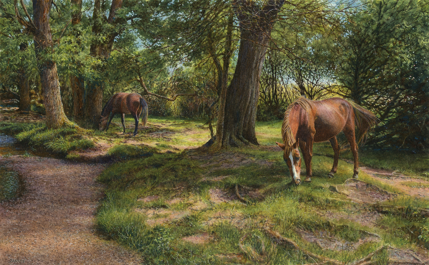 Grazing Ponies in the Forest: by Peter Jarvis, architectural illustrator